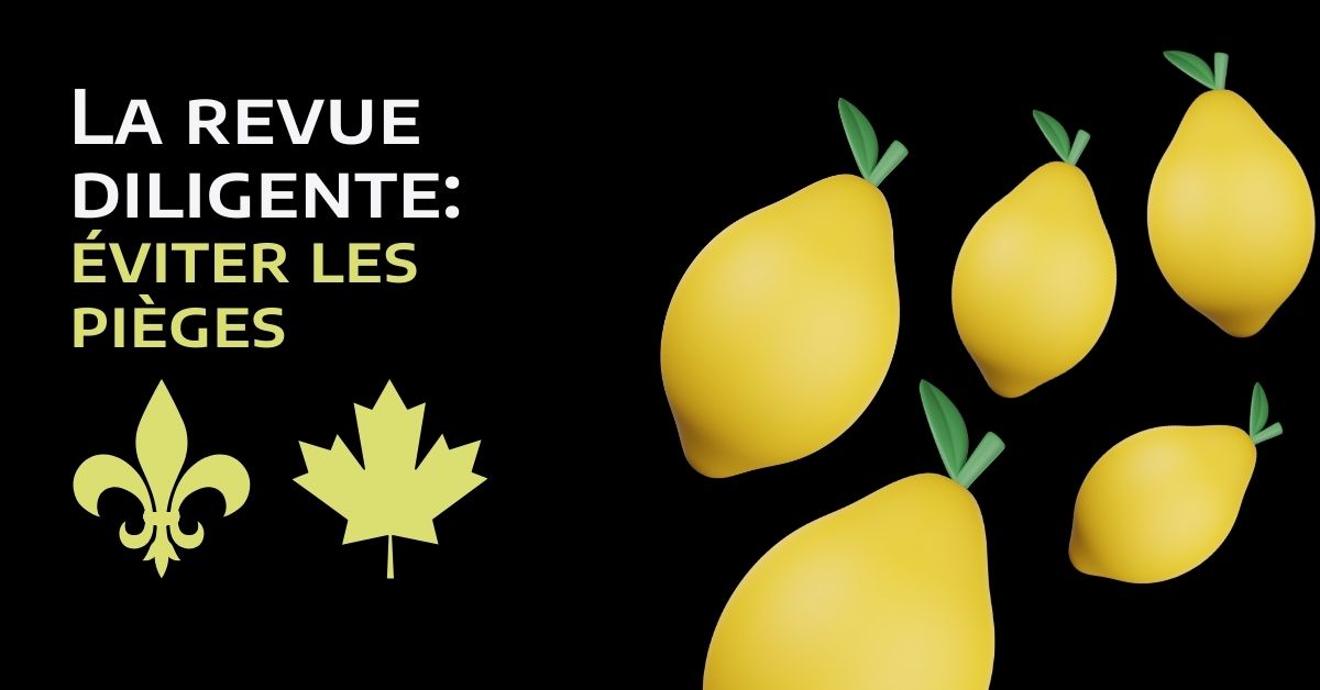 Revue diligente : étape clé pour acheter une entreprise | TRNSFR ...